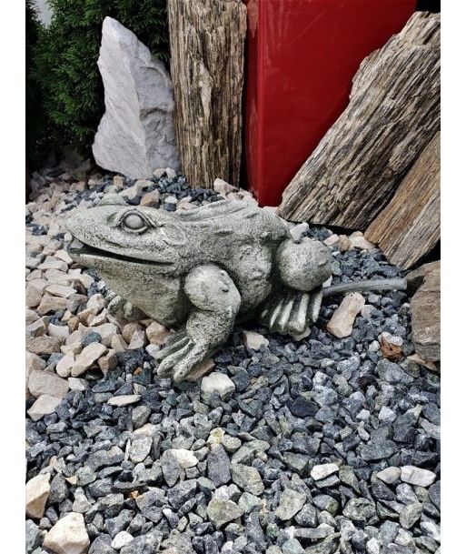 ŻABA / ROPUCHA - zielona